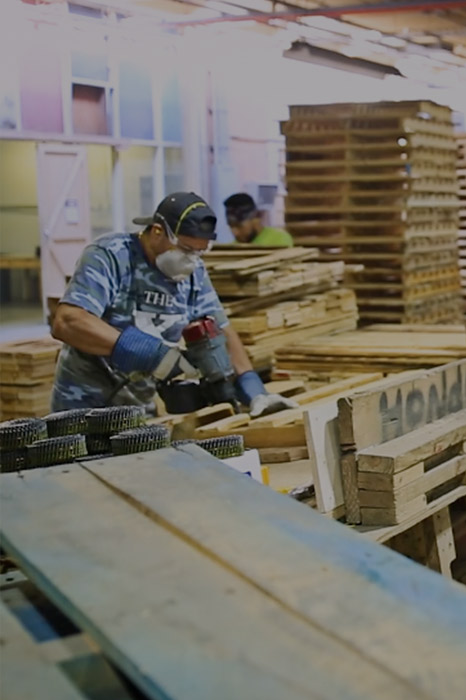 Pallet Repair & Recyling Services