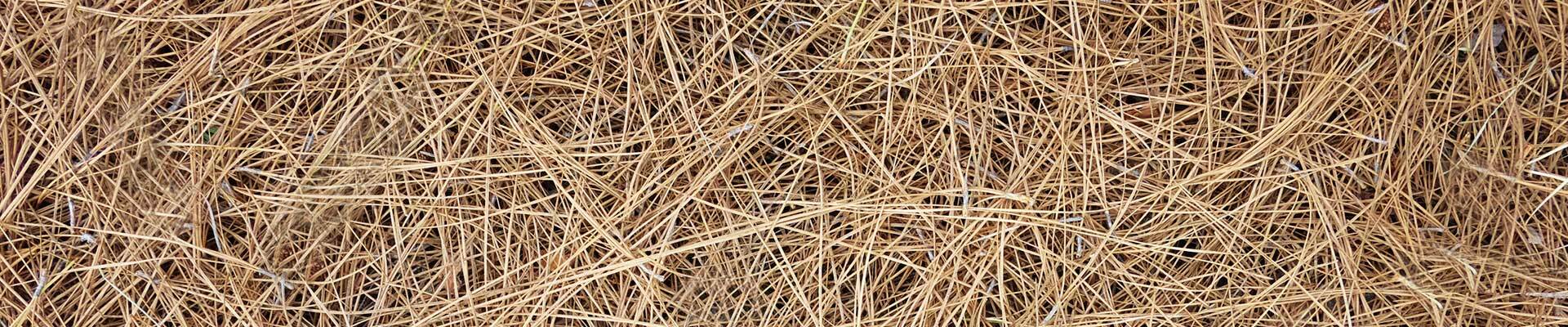 Pine Straw - Irvine Wood Recovery in Cincinnati